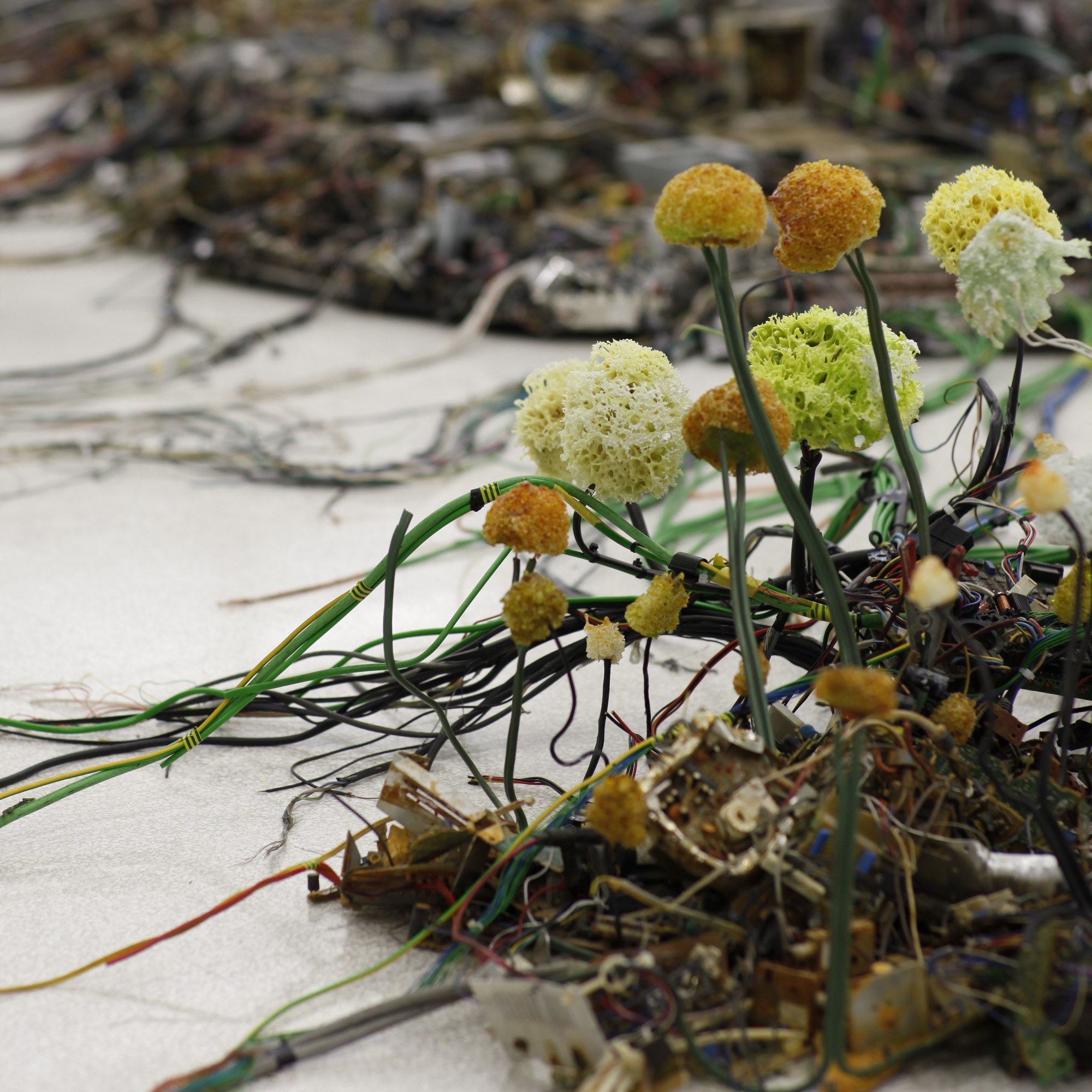 Krištof Kintera: A Junk Prothalamium — The Union of Nature and Technology